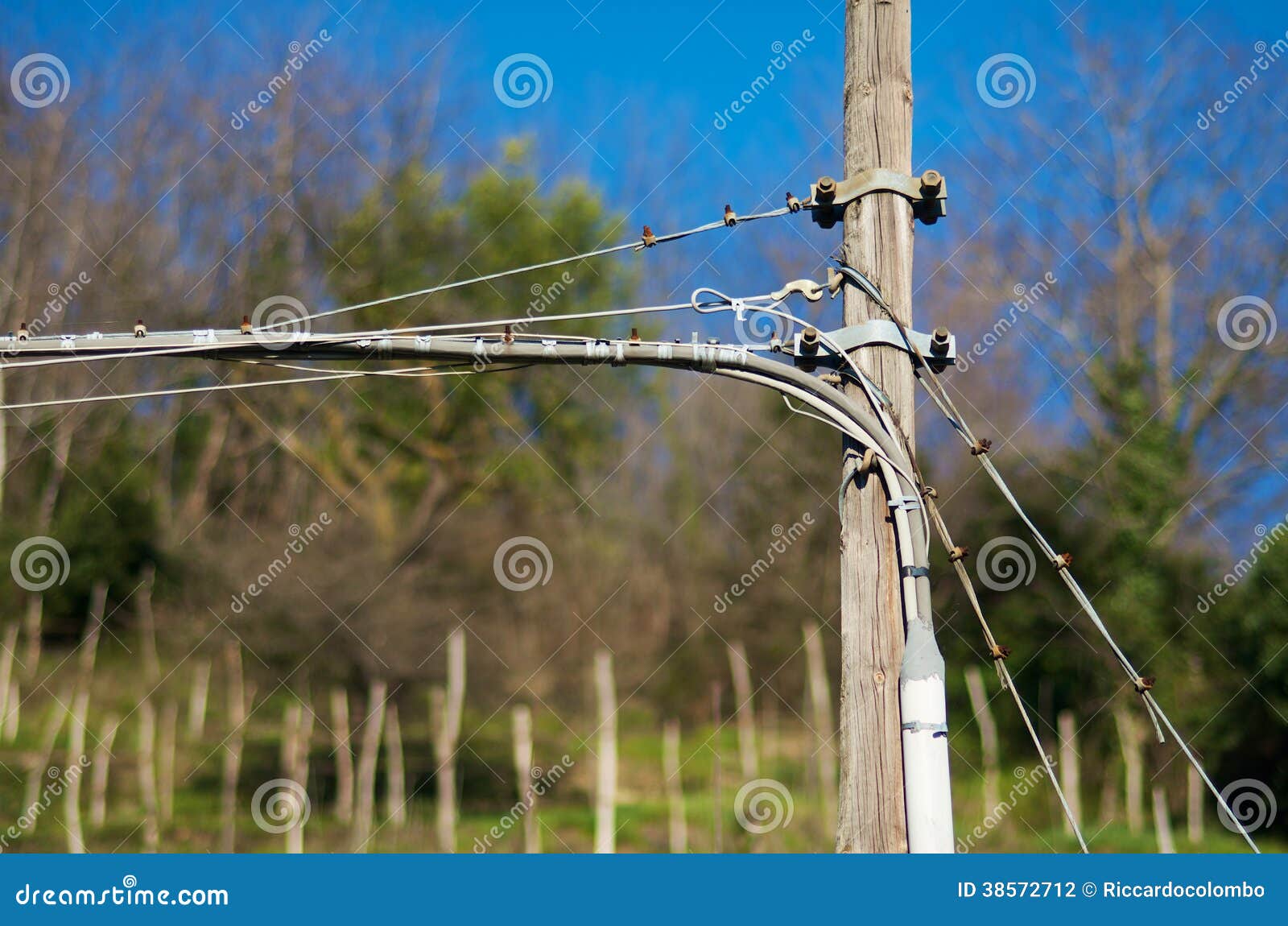 Electric pole stock photo. Image of power, black, generator - 38572712