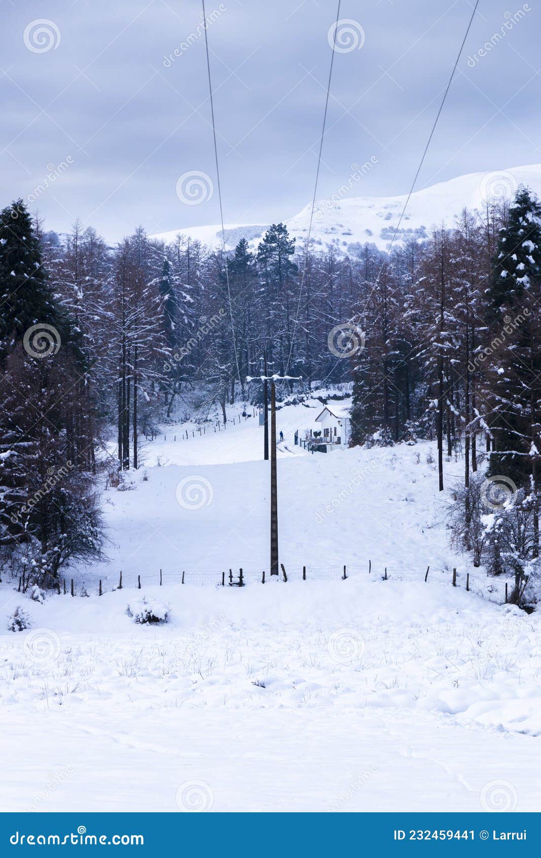 Pole on a Snowy Hill Surrounded by Forests Stock Image - Image of ...