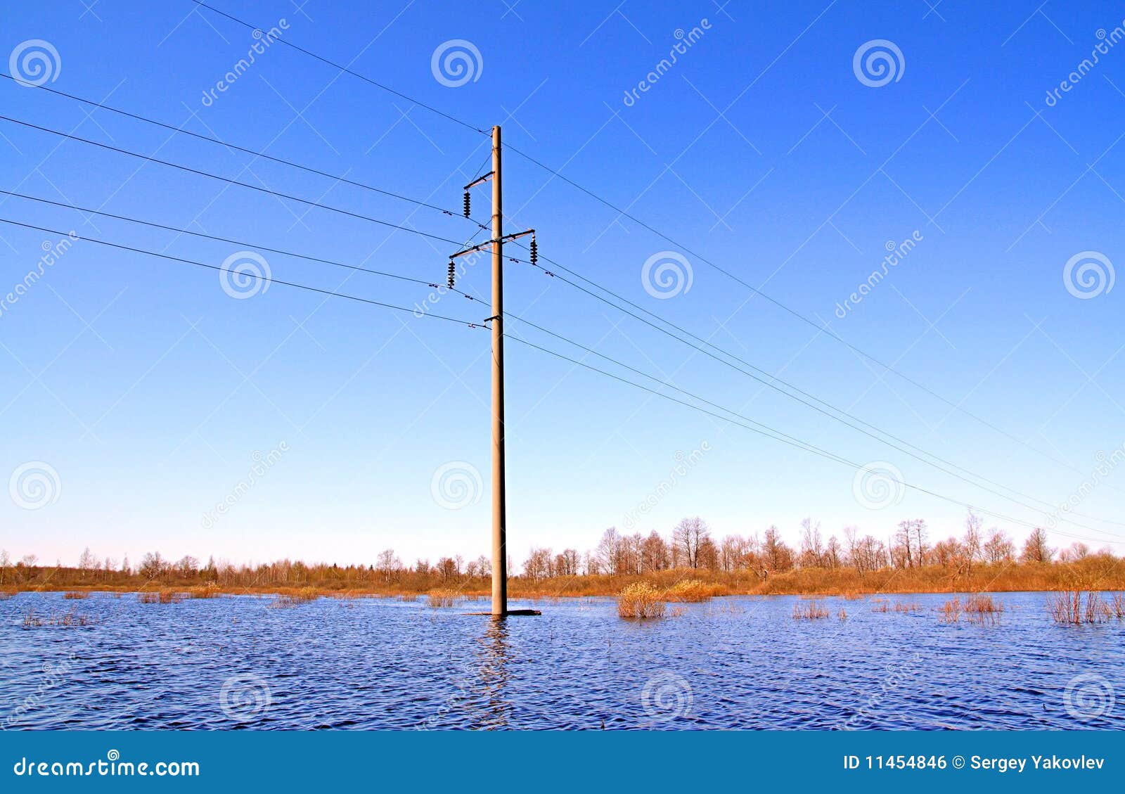 Electric pole in water stock photo. Image of peace, lake - 11454846