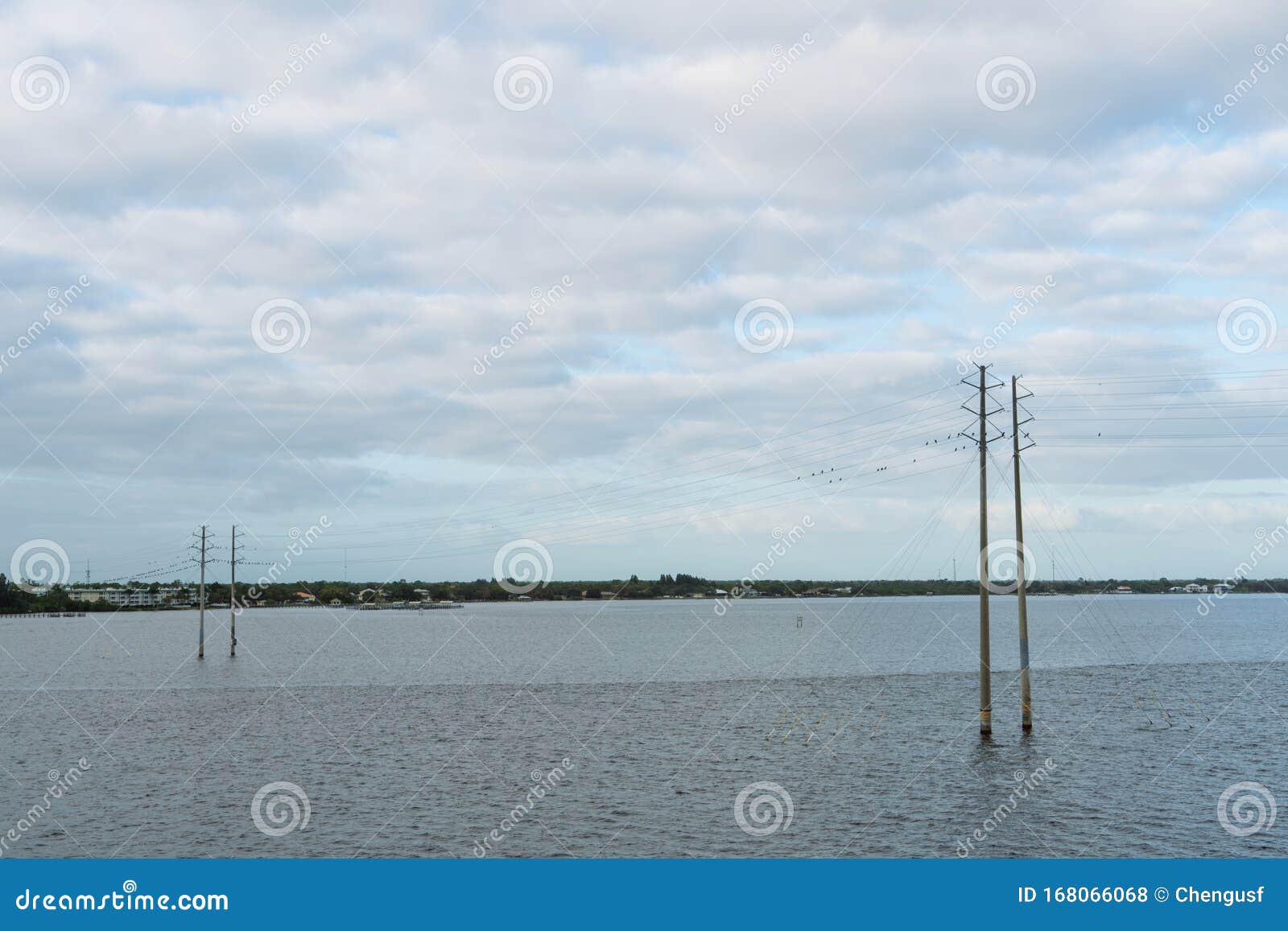 Electric pole in water stock photo. Image of palm, punta - 168066068