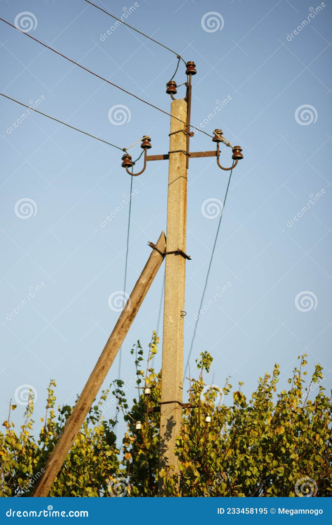 Electric Pole with Wires Near Tree in Blue Clear Sky Stock Image ...
