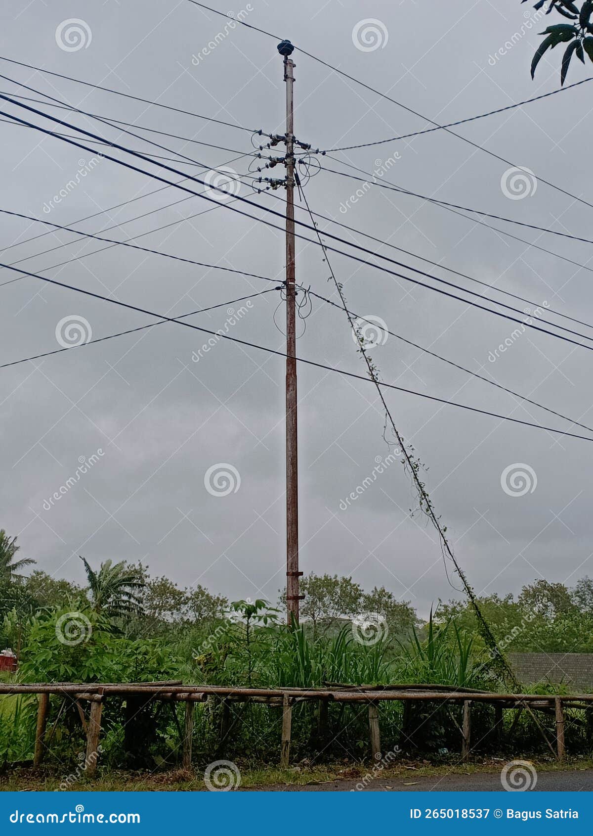 Electric Poles in the Countryside Stock Image - Image of iron, vehicle ...