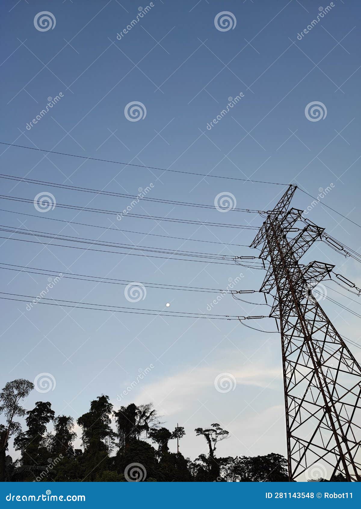 Electric Poles and Trees that are Tall Stock Photo - Image of ...
