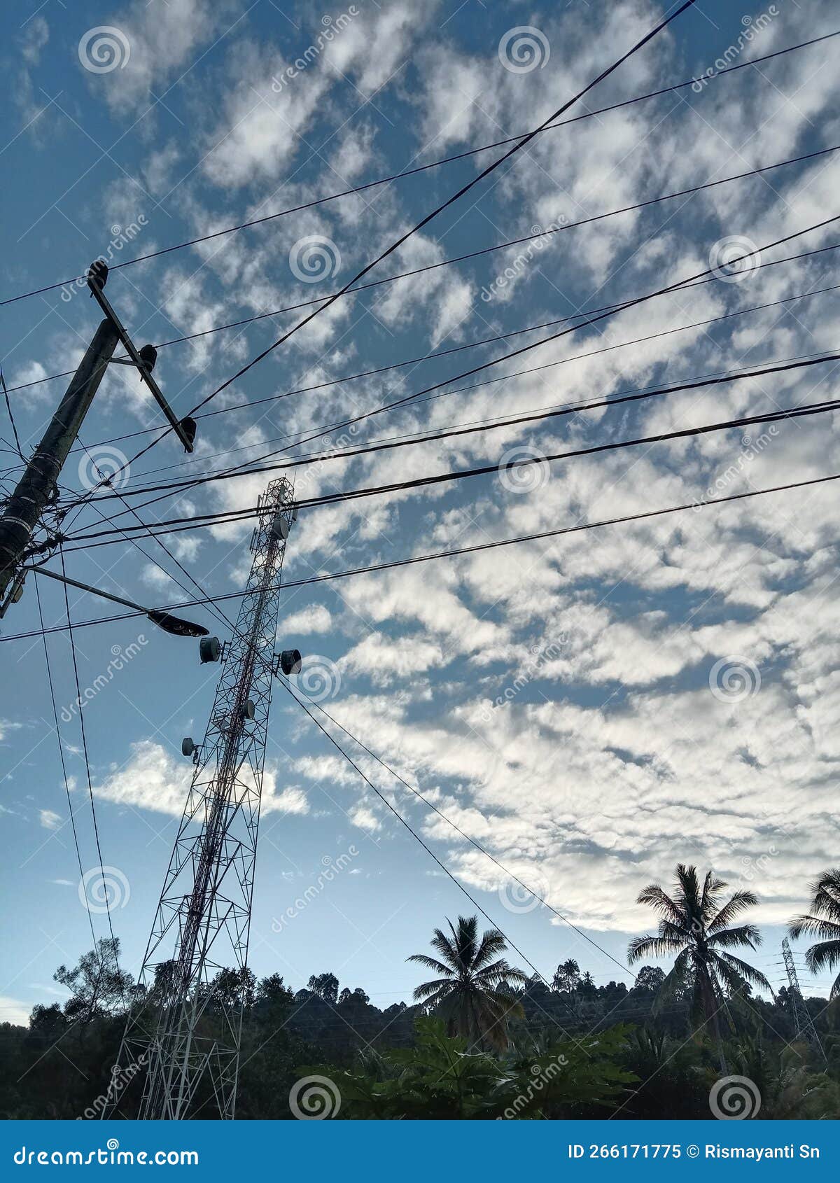 Electric Poles in Tropical Countries Stock Image - Image of coconat ...