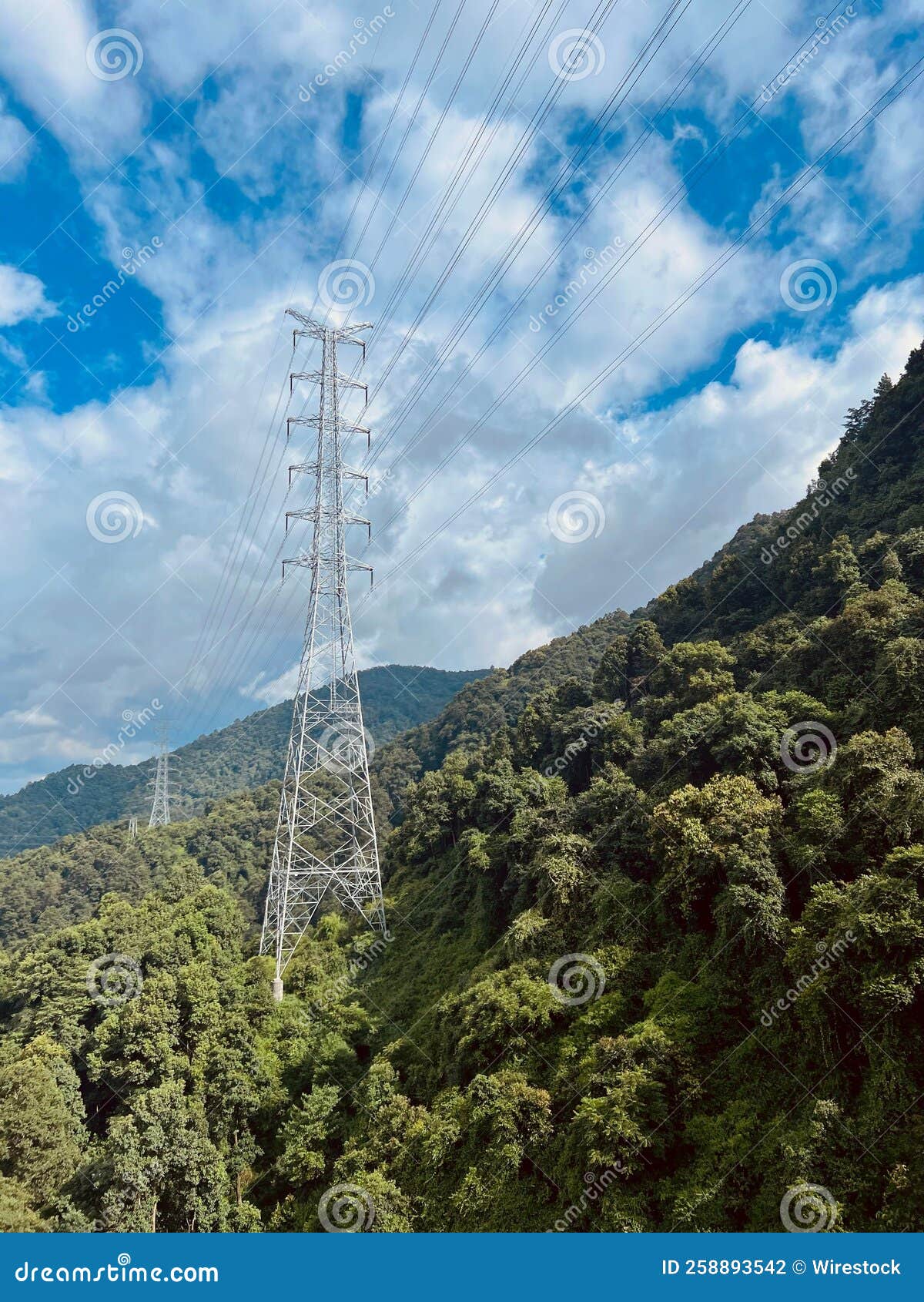 Electric Post with Cable Wires Surrounded by Trees Stock Photo - Image ...