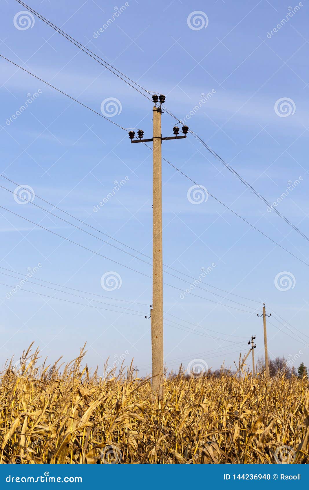Electric post corn stock photo. Image of fresh, current - 144236940