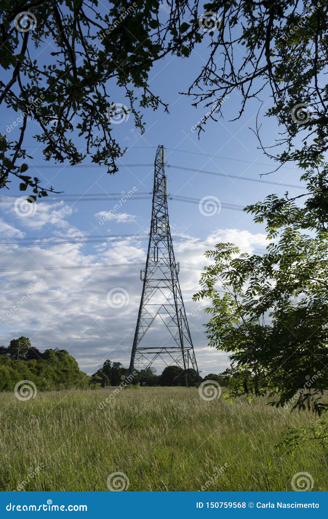Electric Post on Green Field Background. Grantham Canal,Uk. Stock Photo ...