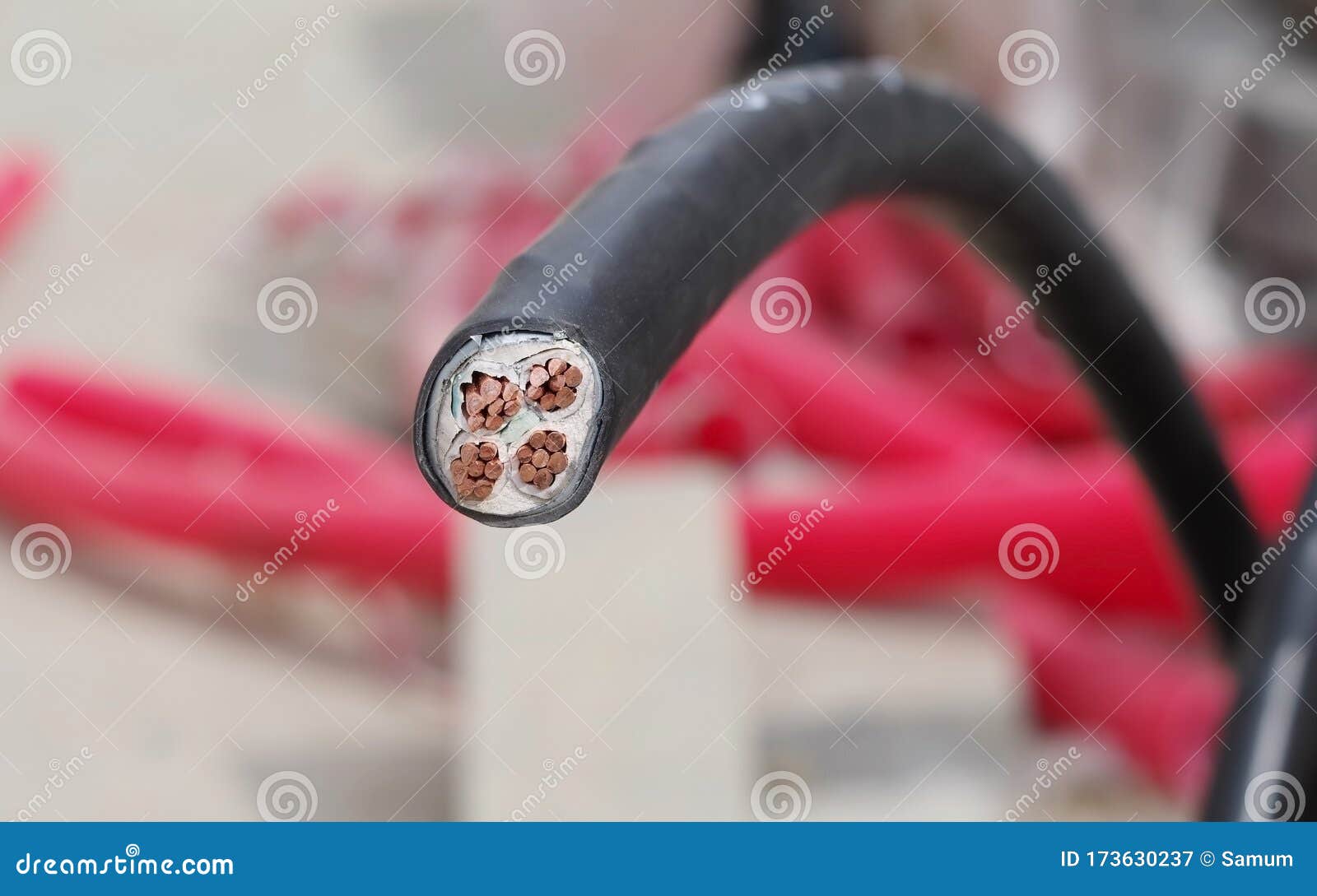 The electric power cable stock image. Image of closeup - 173630237