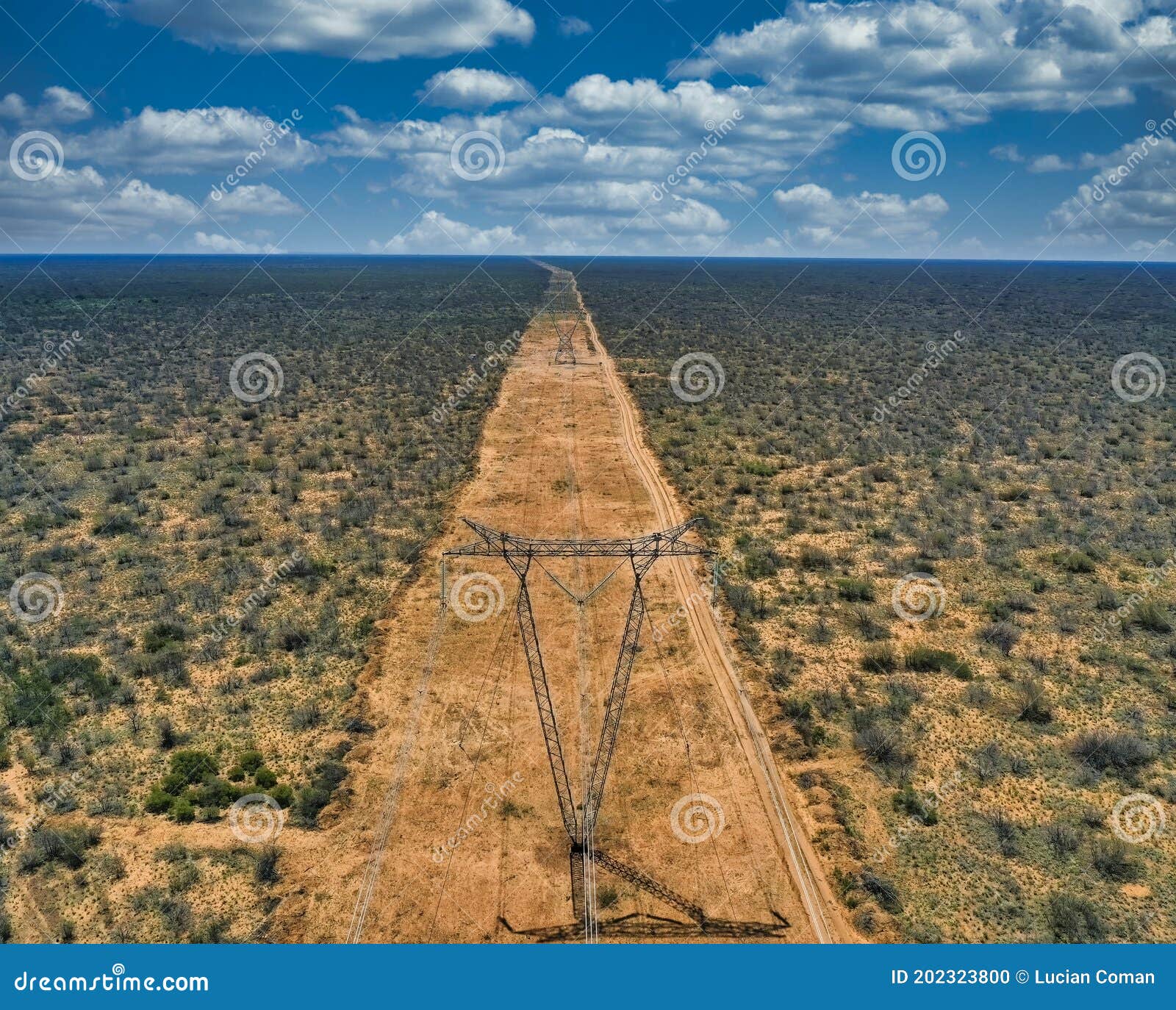 Electric power stock photo. Image of bush, electric - 202323800