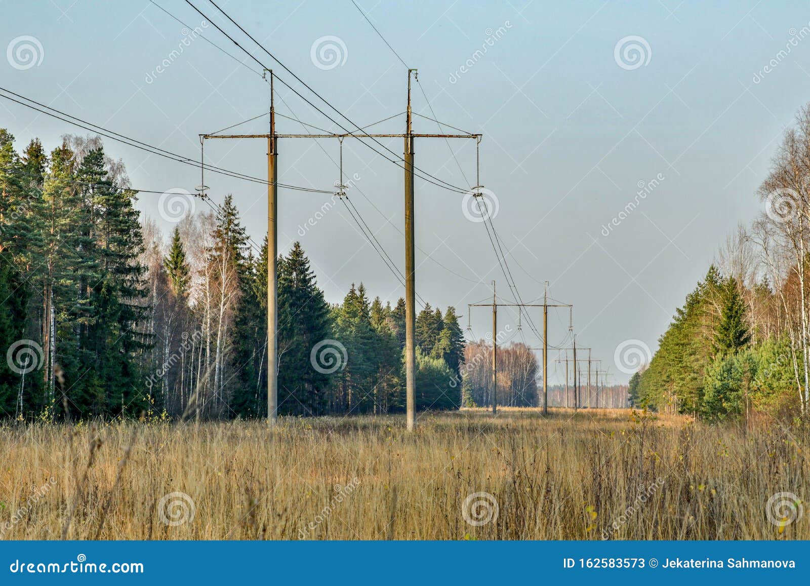 Electric Power Line in the Forest Stock Image - Image of countryside ...