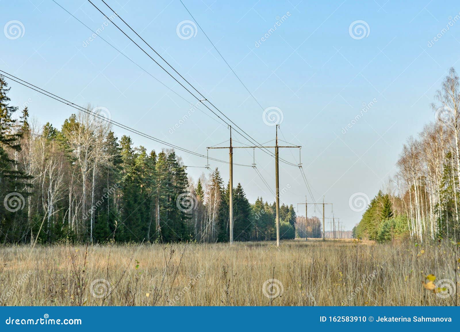 Electric Power Line in the Forest Stock Photo - Image of pylon, wire ...