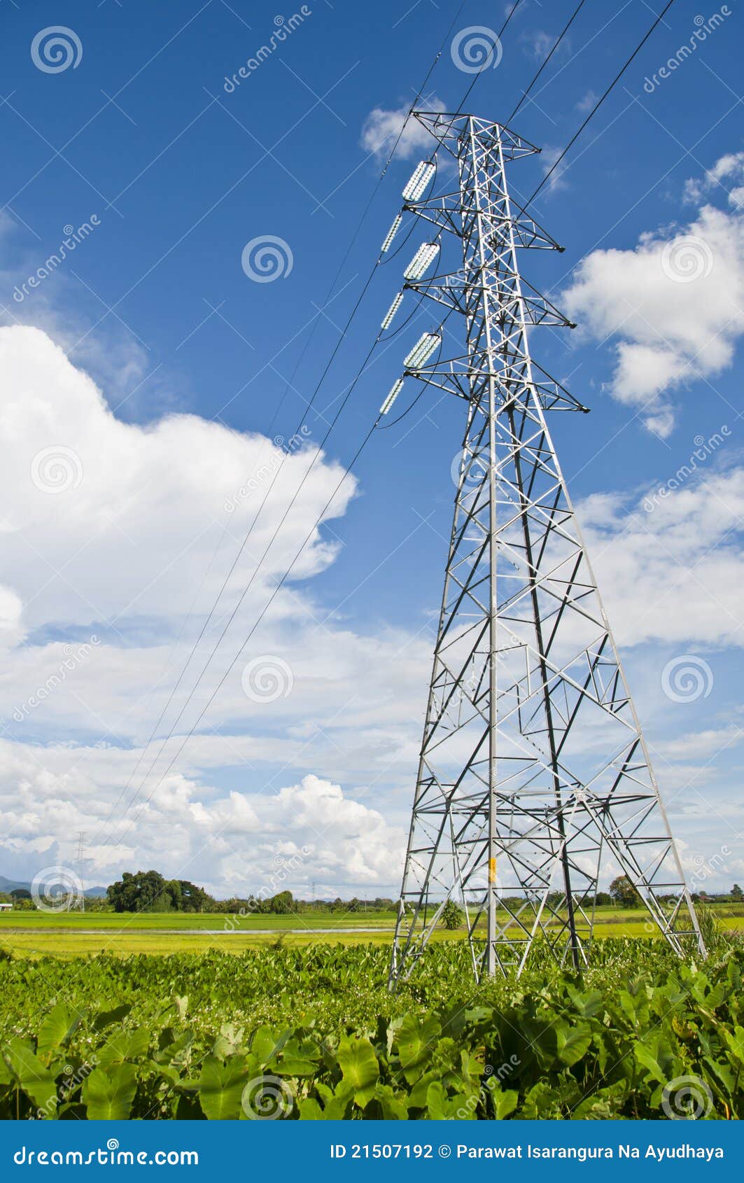 Electric power line tower stock photo. Image of pole - 21507192