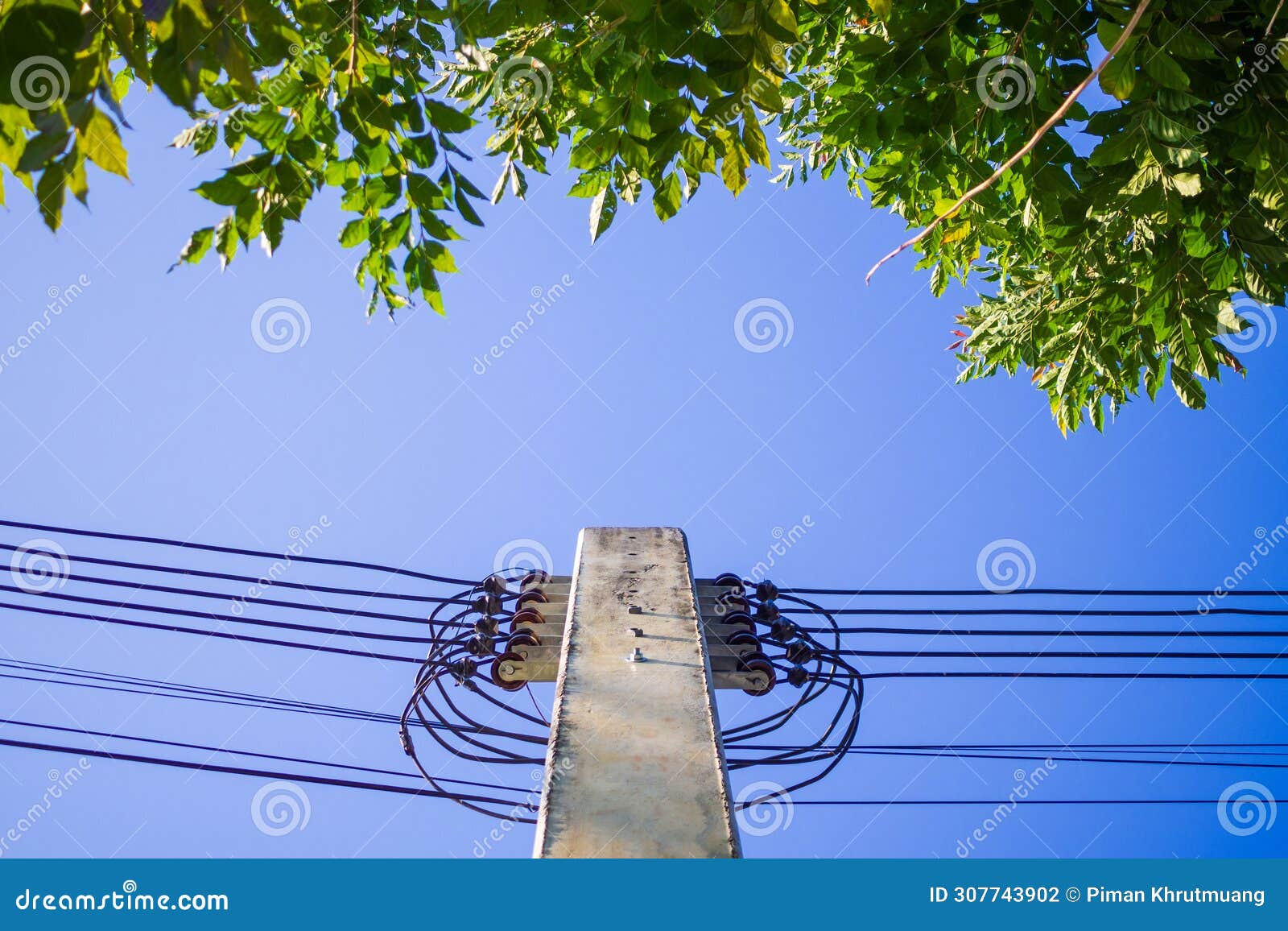 Electric Power Poles with Power Lines Stock Photo - Image of supply ...