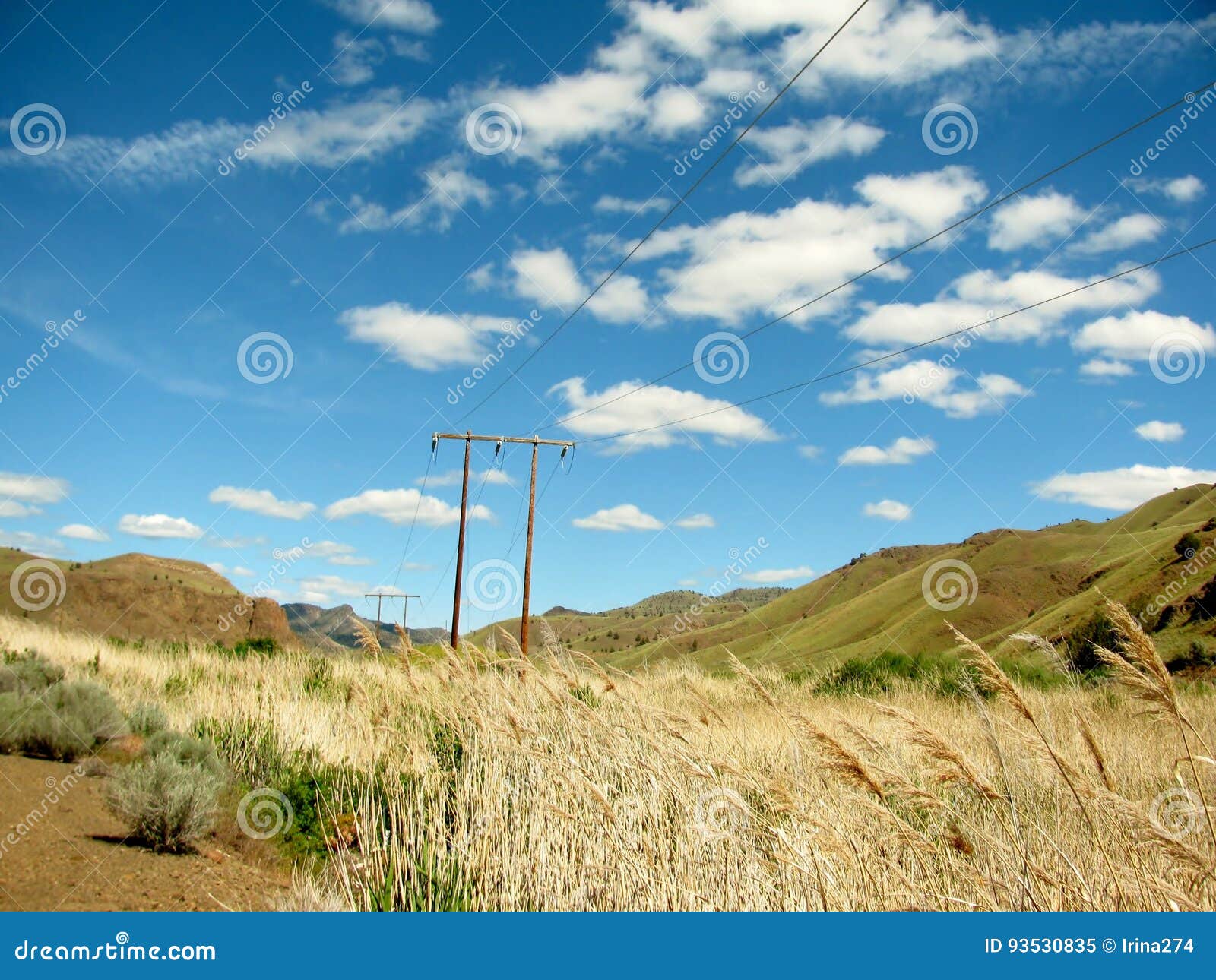 Electric Power Towers in the Field Stock Image - Image of country ...