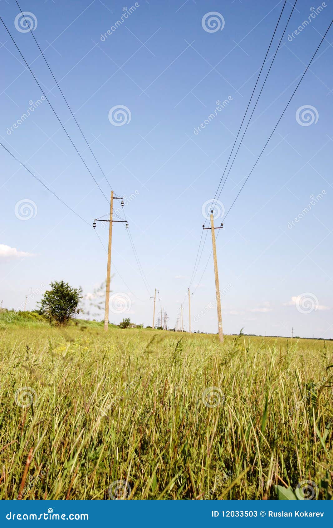 Electric powerline. stock image. Image of green, grass - 12033503