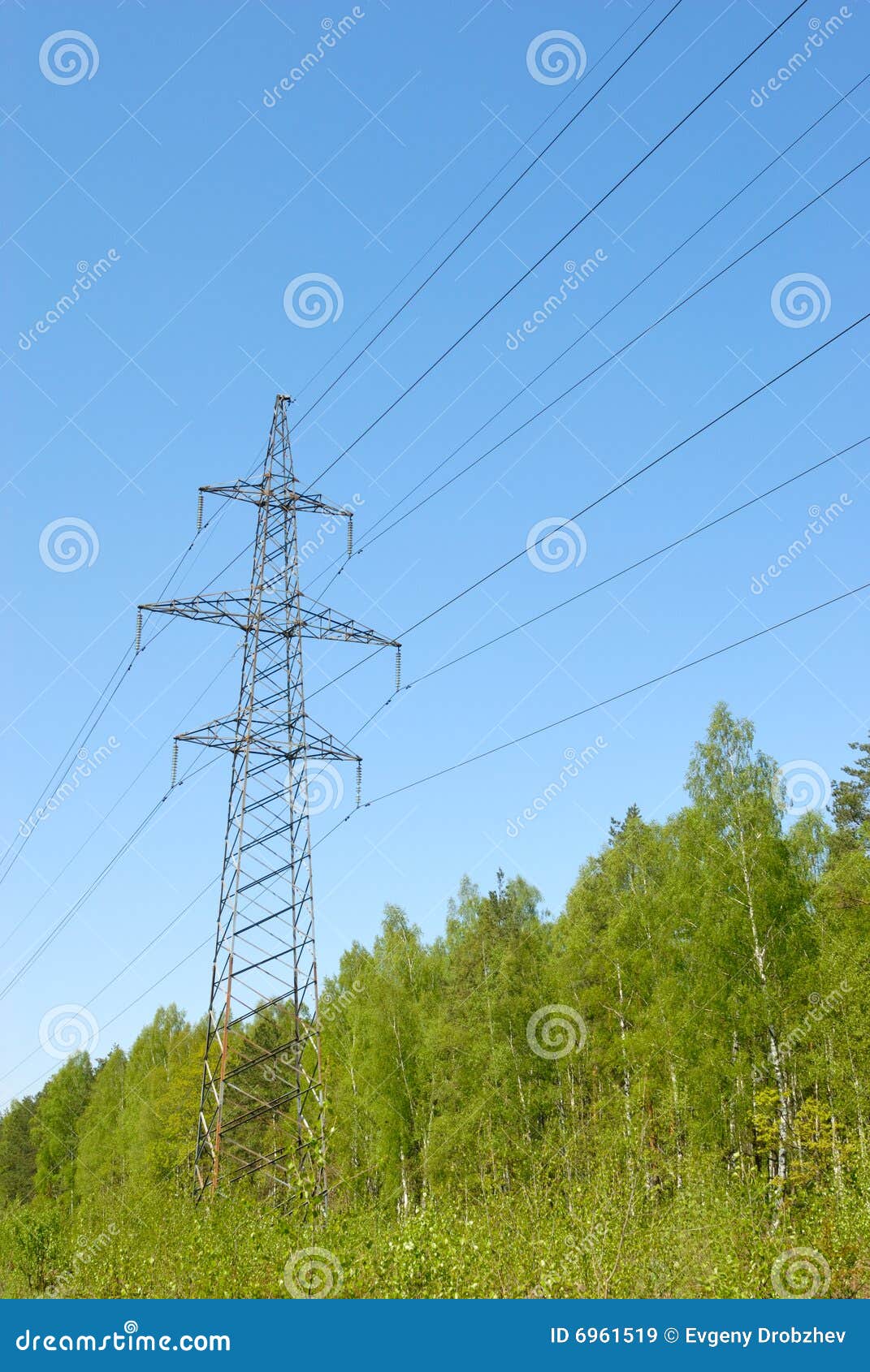 Powerline In The Forest. Old Style Steel Pole, Rusted. Detail. Stock ...