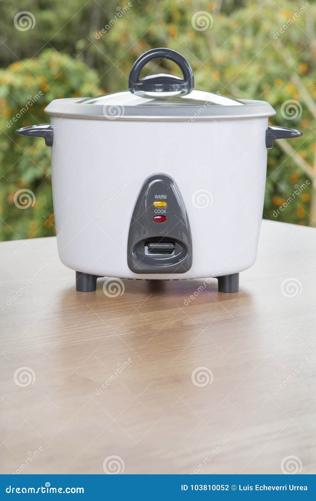 Electric rice cooker stock photo. Image of cooking, rice - 103810052