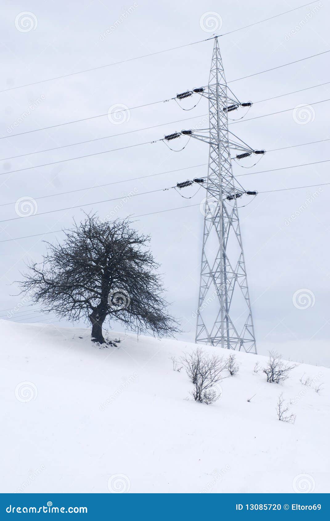 Electric pylon with tree stock photo. Image of green - 13085720