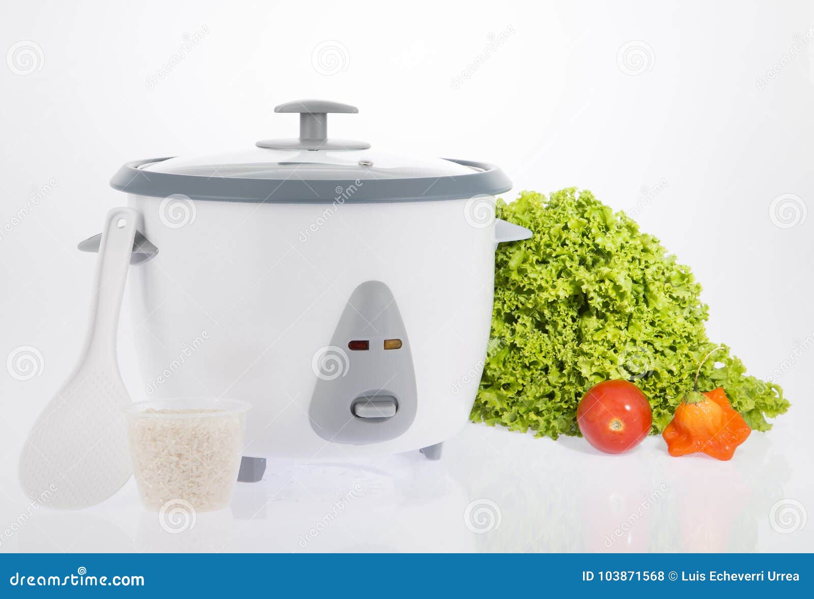 Electric rice cooker stock photo. Image of domestic - 103871568