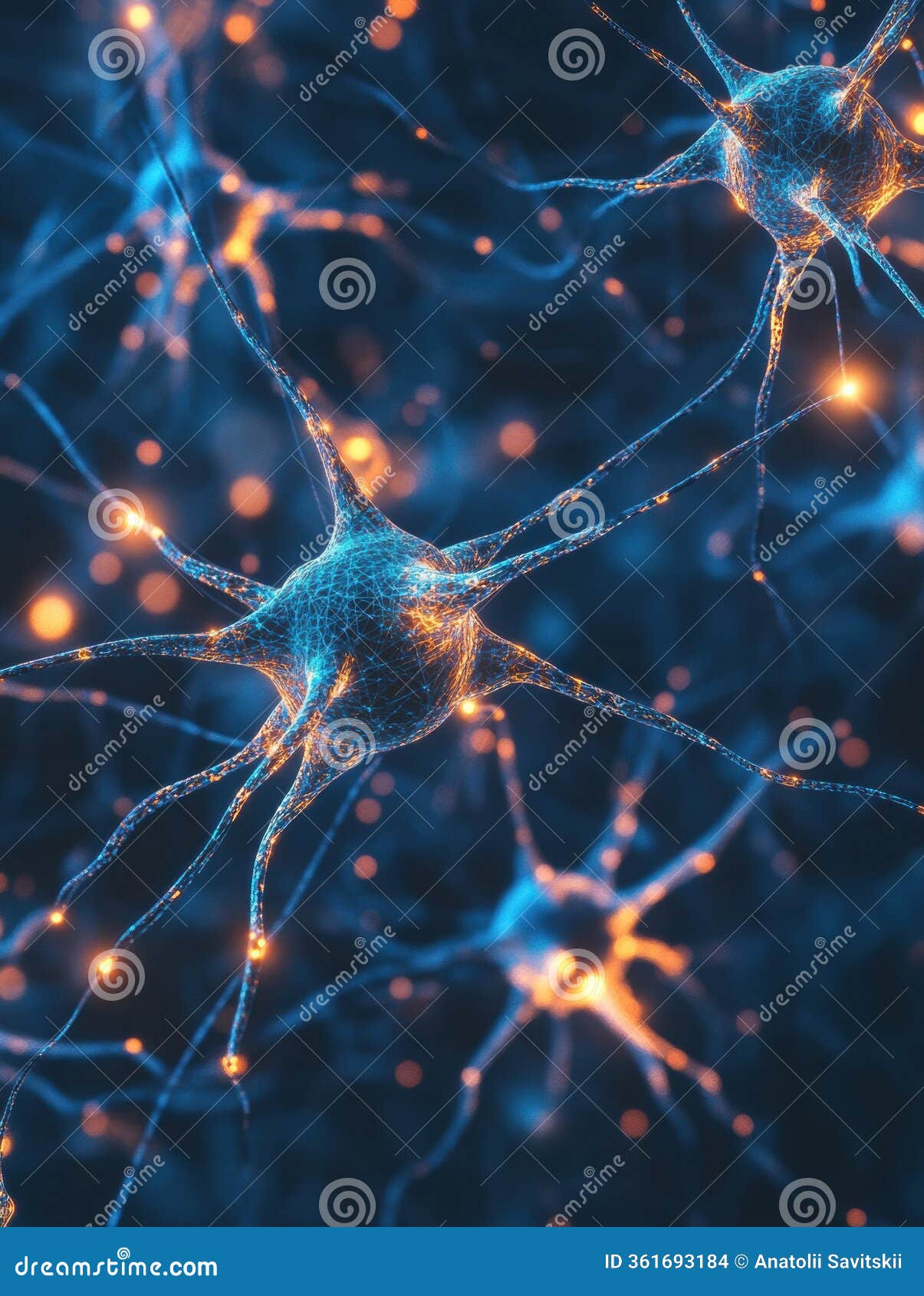 Electric Signals Travel between Neurons in a Complex Network within the ...