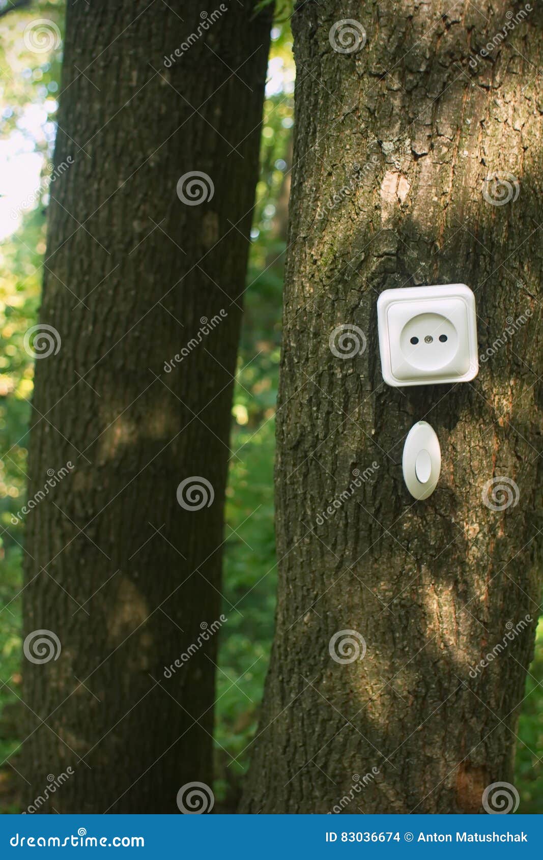 Electric Socket on Trees in Forest. Green Energy Concept Stock Photo ...