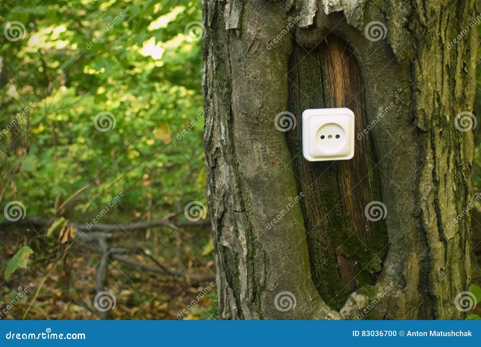 Electric Socket on Trees in Forest. Green Energy Concept Stock Photo ...