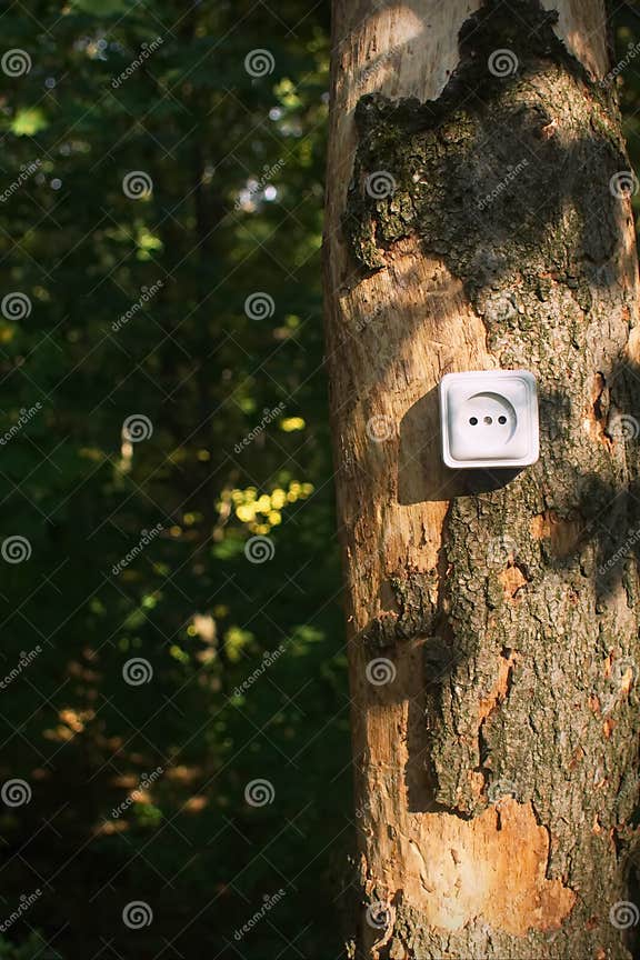 Electric Socket on Trees in Forest. Green Energy Concept Stock Photo ...