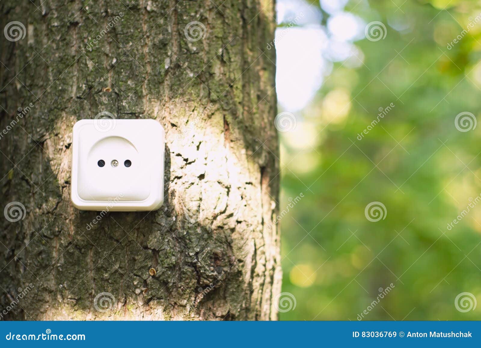 Electric Socket on Trees in Forest. Green Energy Concept Stock Image ...