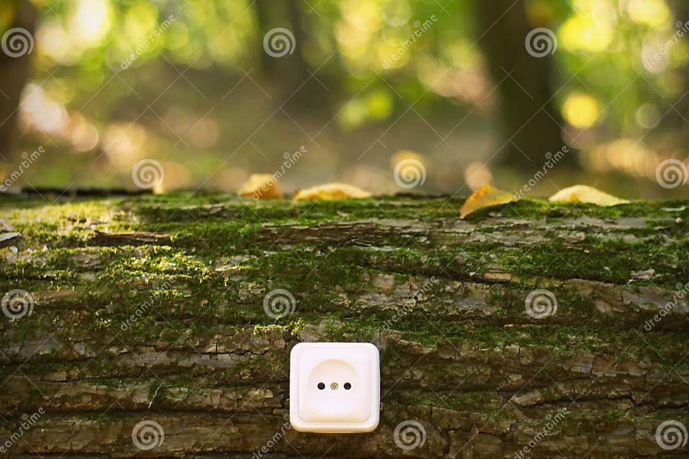 Electric Socket on Trees in Forest. Green Energy Concept Stock Photo ...