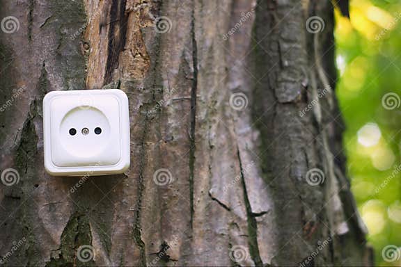Electric Socket on Trees in Forest. Green Energy Concept Stock Photo ...