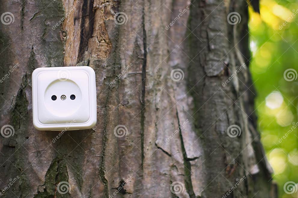 Electric Socket on Trees in Forest. Green Energy Concept Stock Photo ...