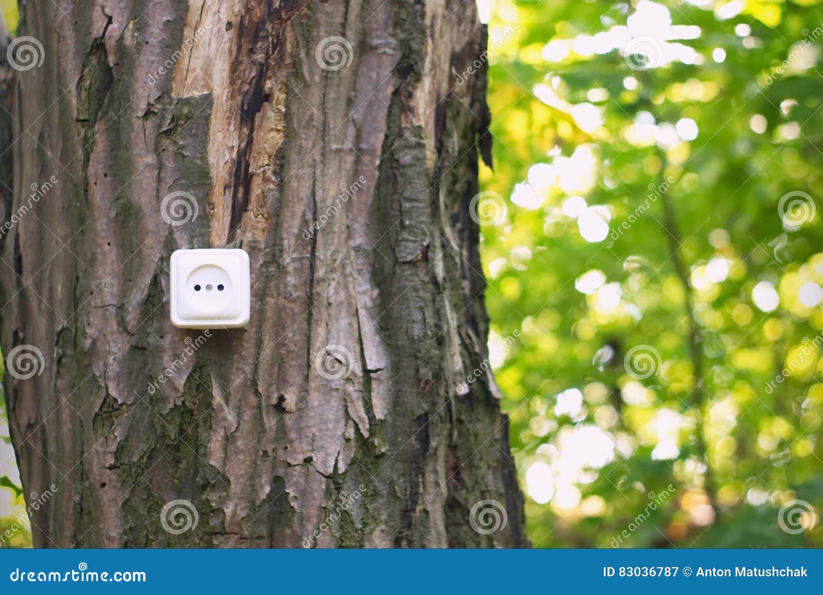 Electric Socket on Trees in Forest. Green Energy Concept Stock Image ...