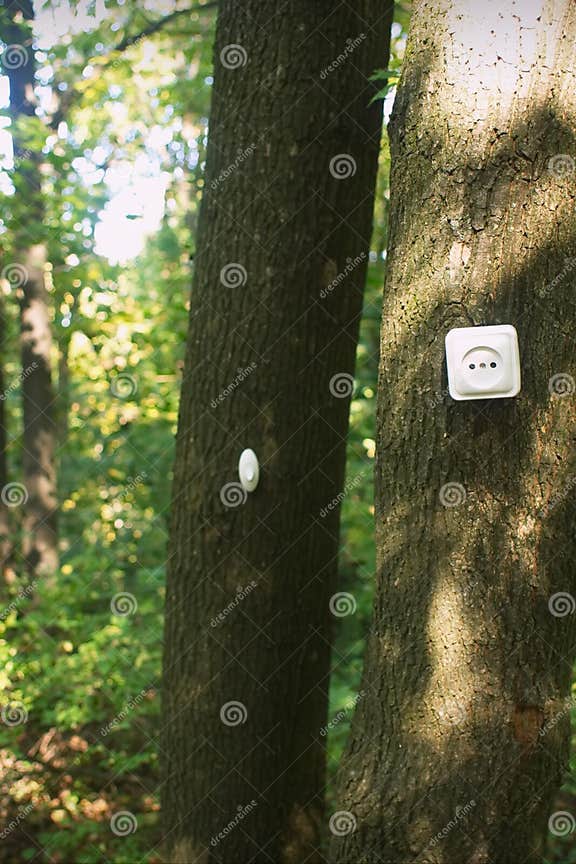 Electric Socket on Trees in Forest. Green Energy Concept Stock Image ...