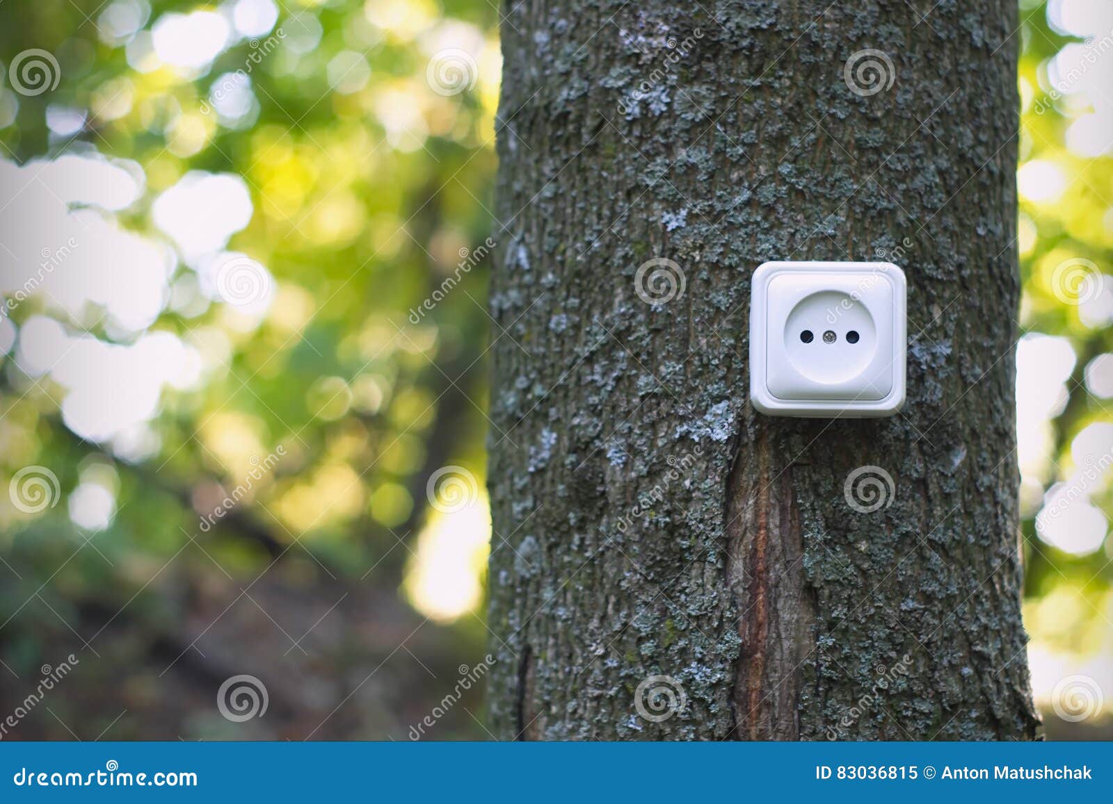Electric Socket on Trees in Forest. Green Energy Concept Stock Image ...