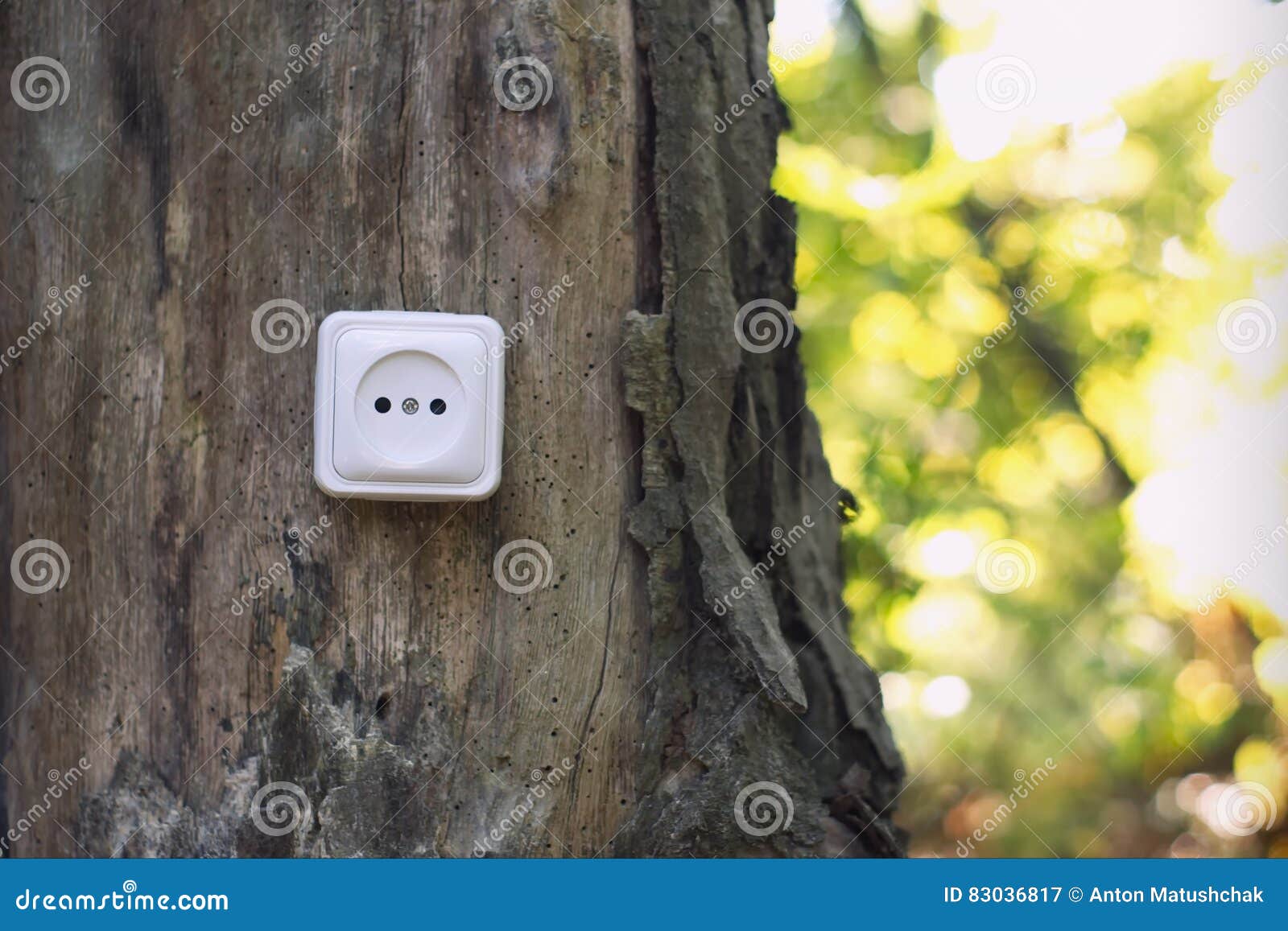 Electric Socket on Trees in Forest. Green Energy Concept Stock Image ...