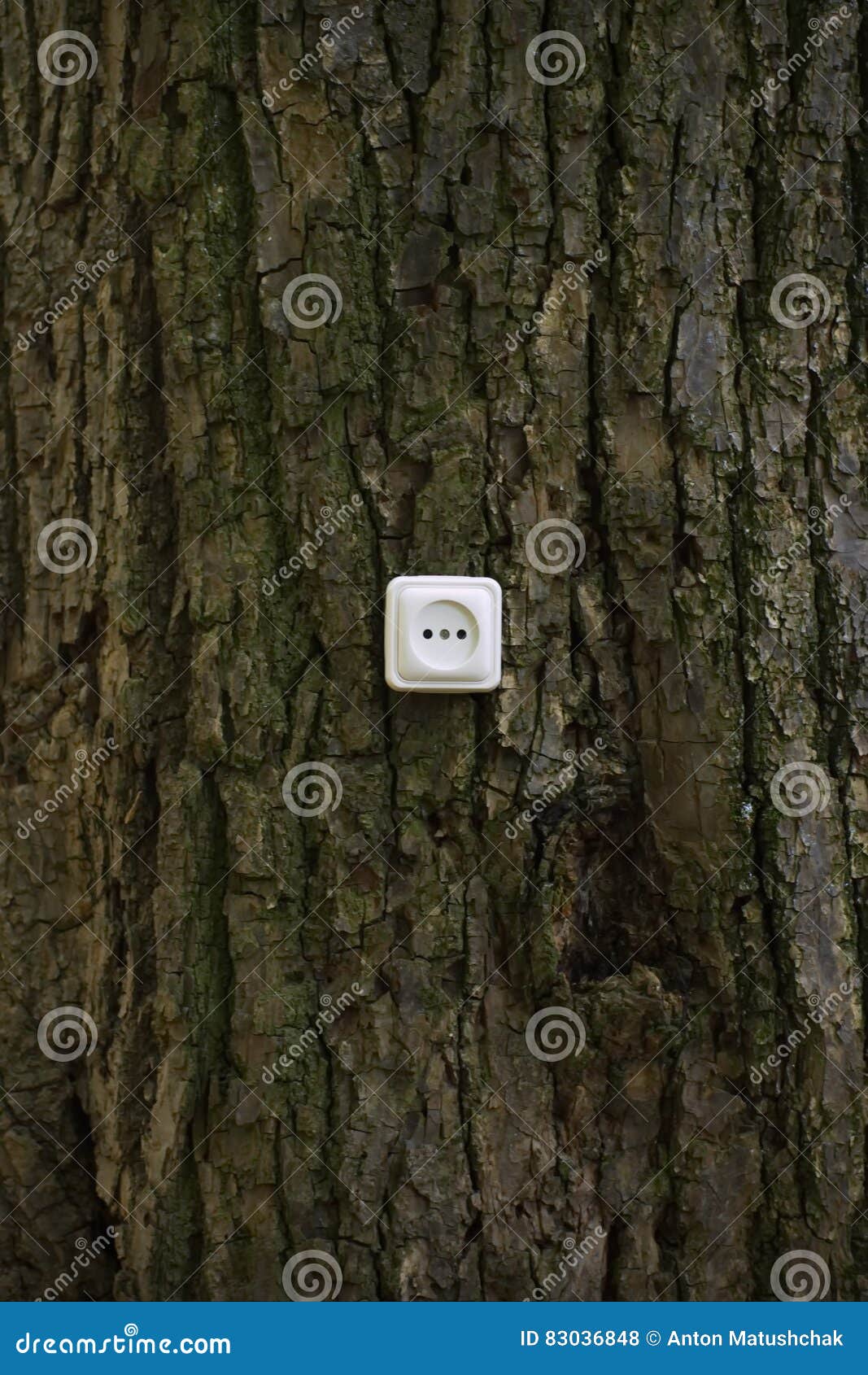 Electric Socket on Trees in Forest. Green Energy Concept Stock Photo ...