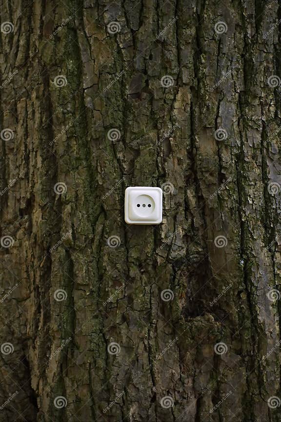 Electric Socket on Trees in Forest. Green Energy Concept Stock Photo ...