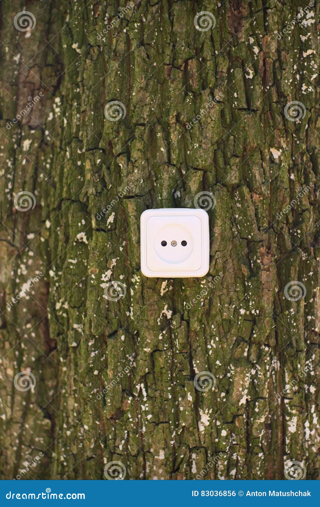 Electric Socket on Trees in Forest. Green Energy Concept Stock Photo ...