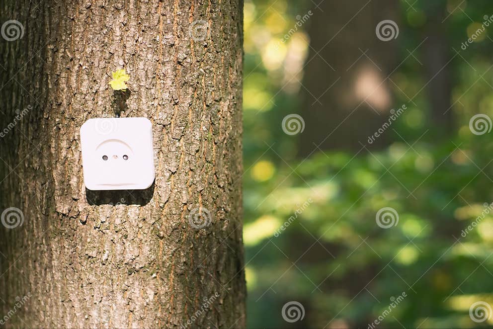 Electric Socket on Trees in Forest. Green Energy Concept Stock Photo ...