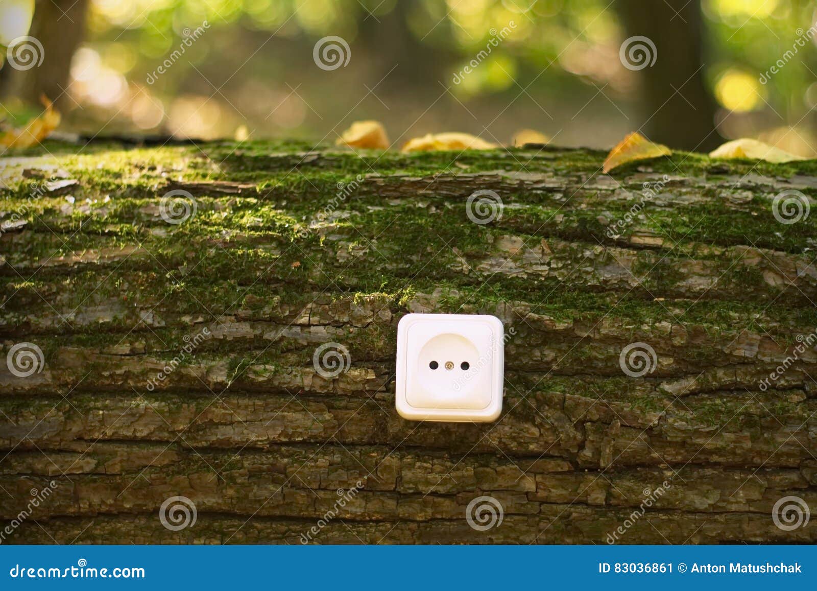 Electric Socket on Trees in Forest. Green Energy Concept Stock Image ...