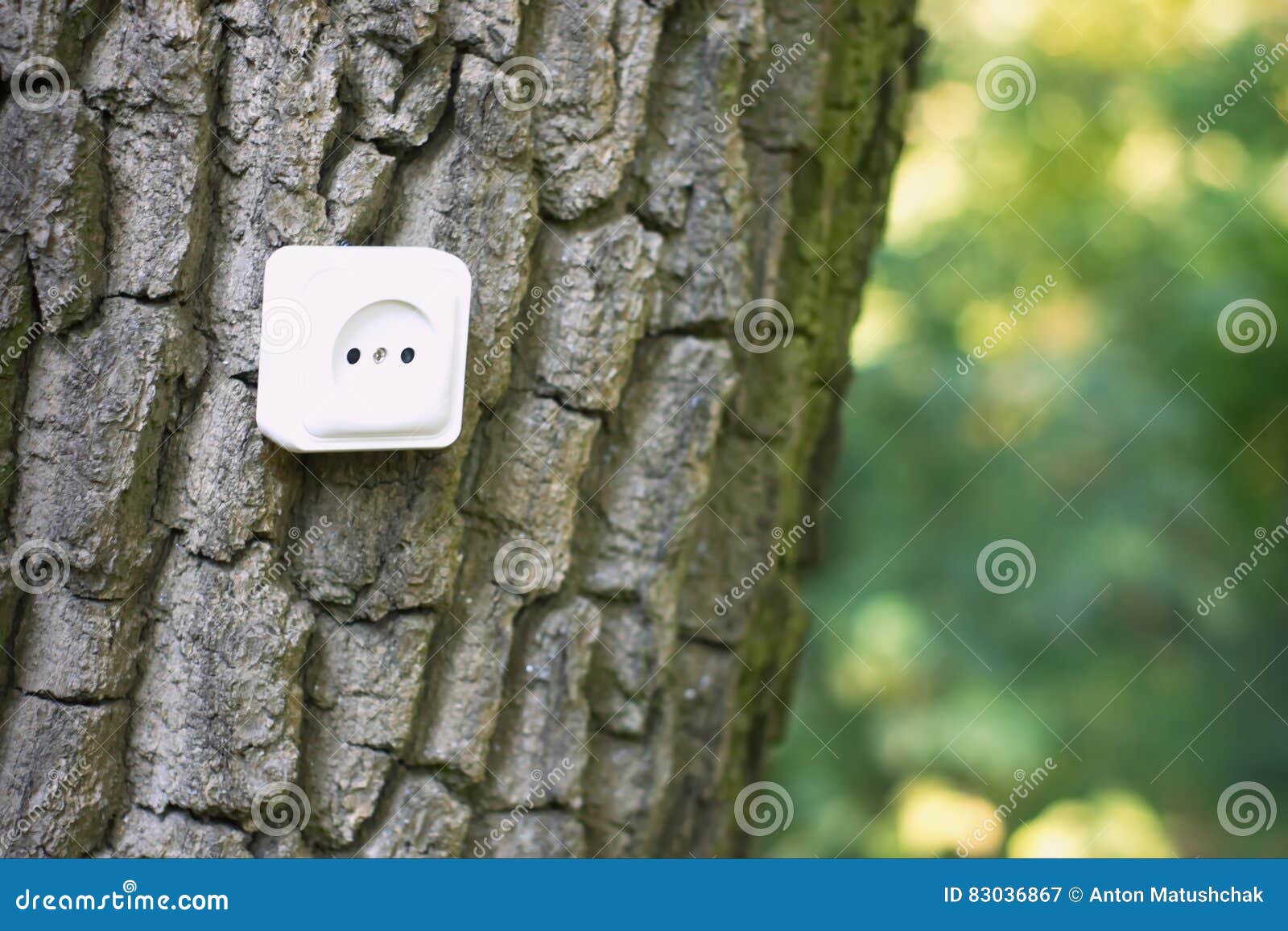 Electric Socket on Trees in Forest. Green Energy Concept Stock Image ...
