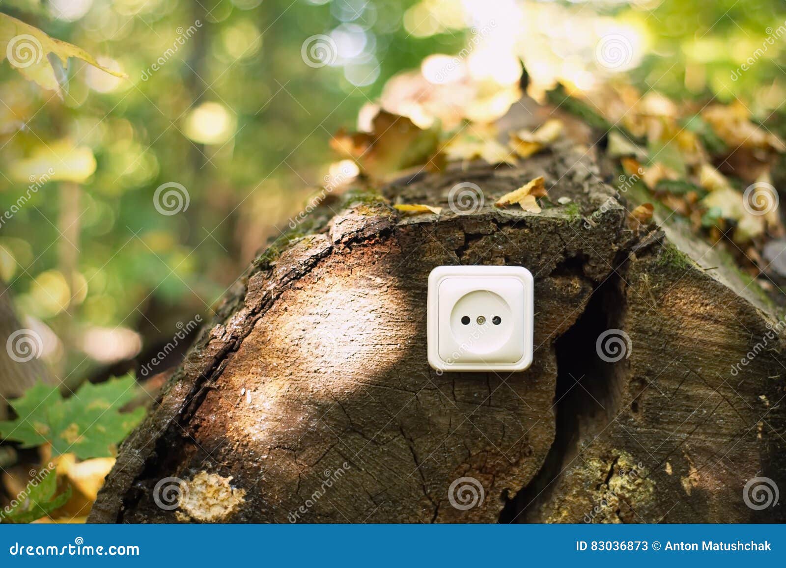 Electric Socket on Trees in Forest. Green Energy Concept Stock Image ...
