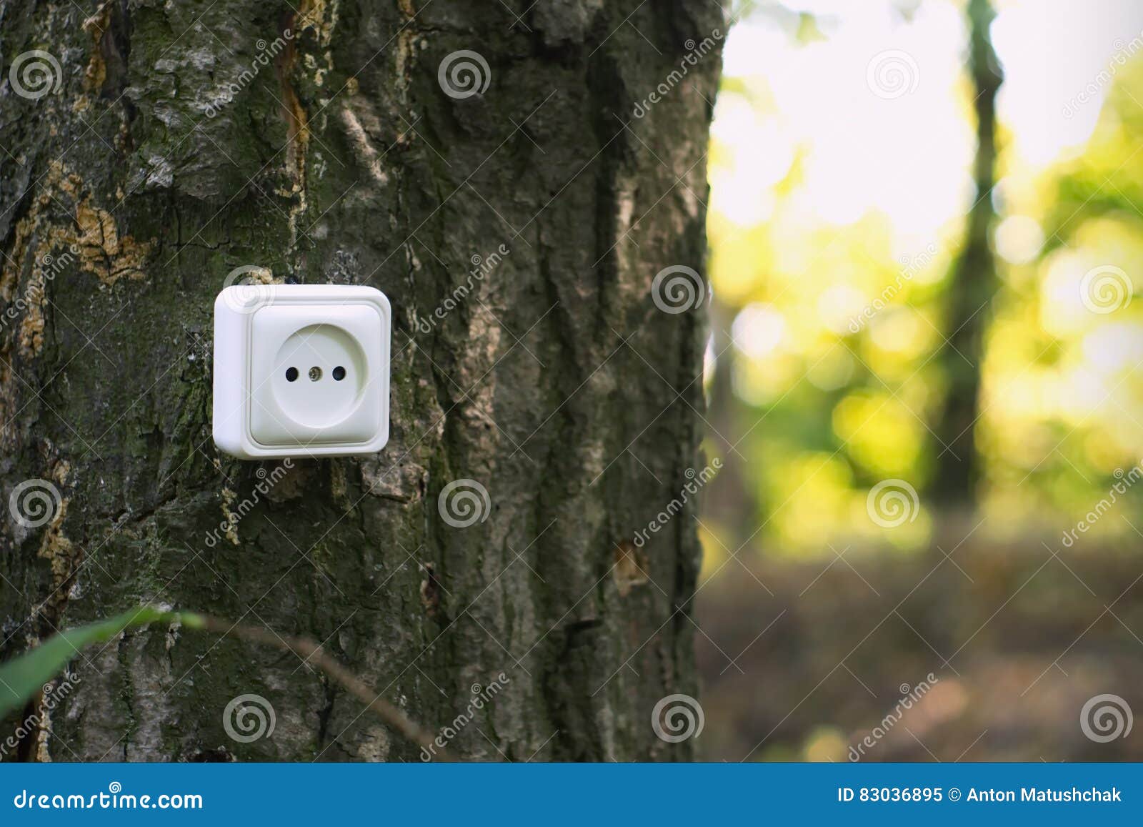Electric Socket on Trees in Forest. Green Energy Concept Stock Image ...
