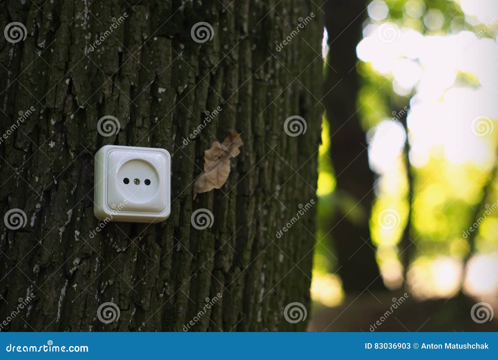 Electric Socket on Trees in Forest. Green Energy Concept Stock Image ...