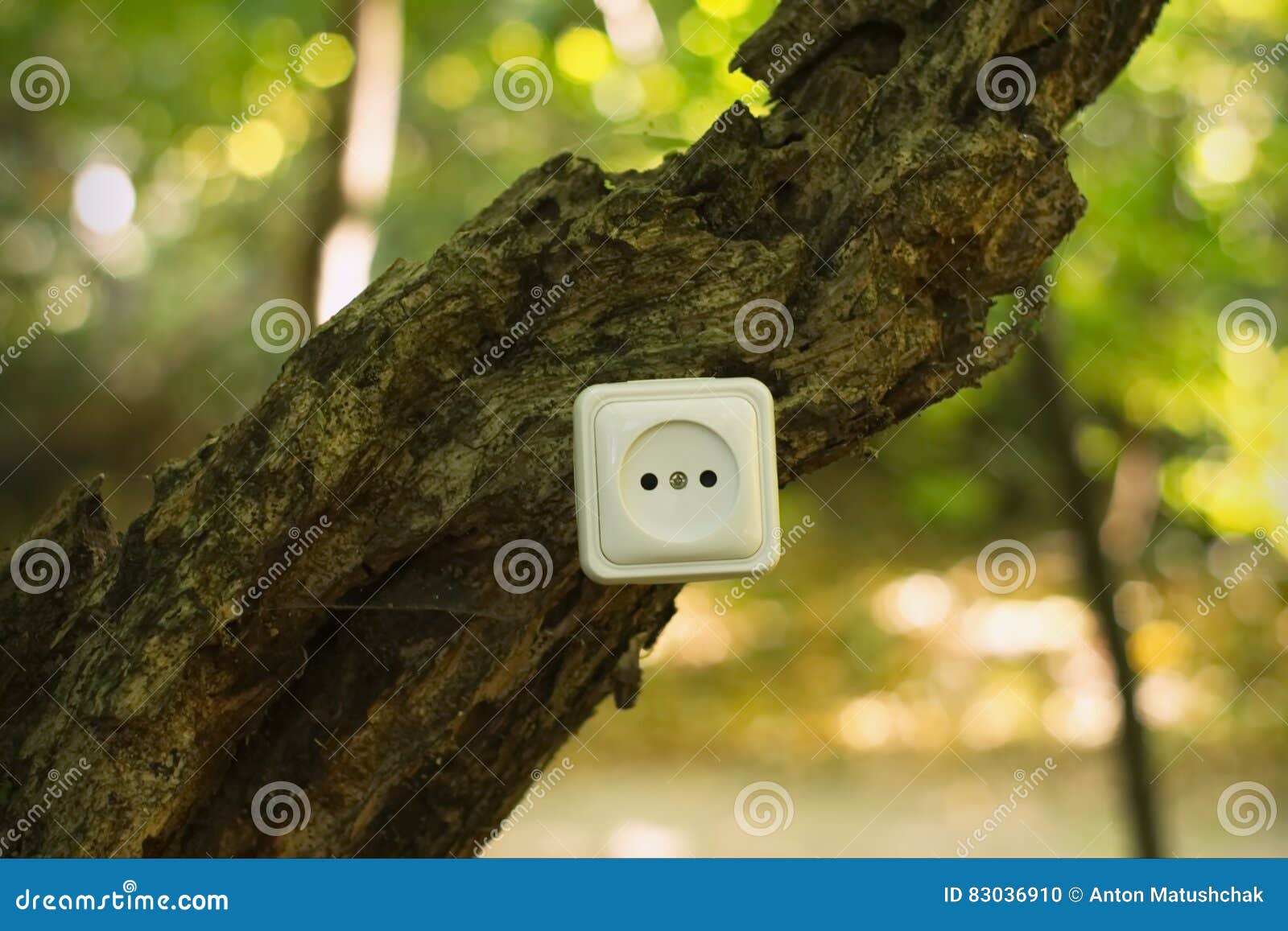 Electric Socket on Trees in Forest. Green Energy Concept Stock Photo ...