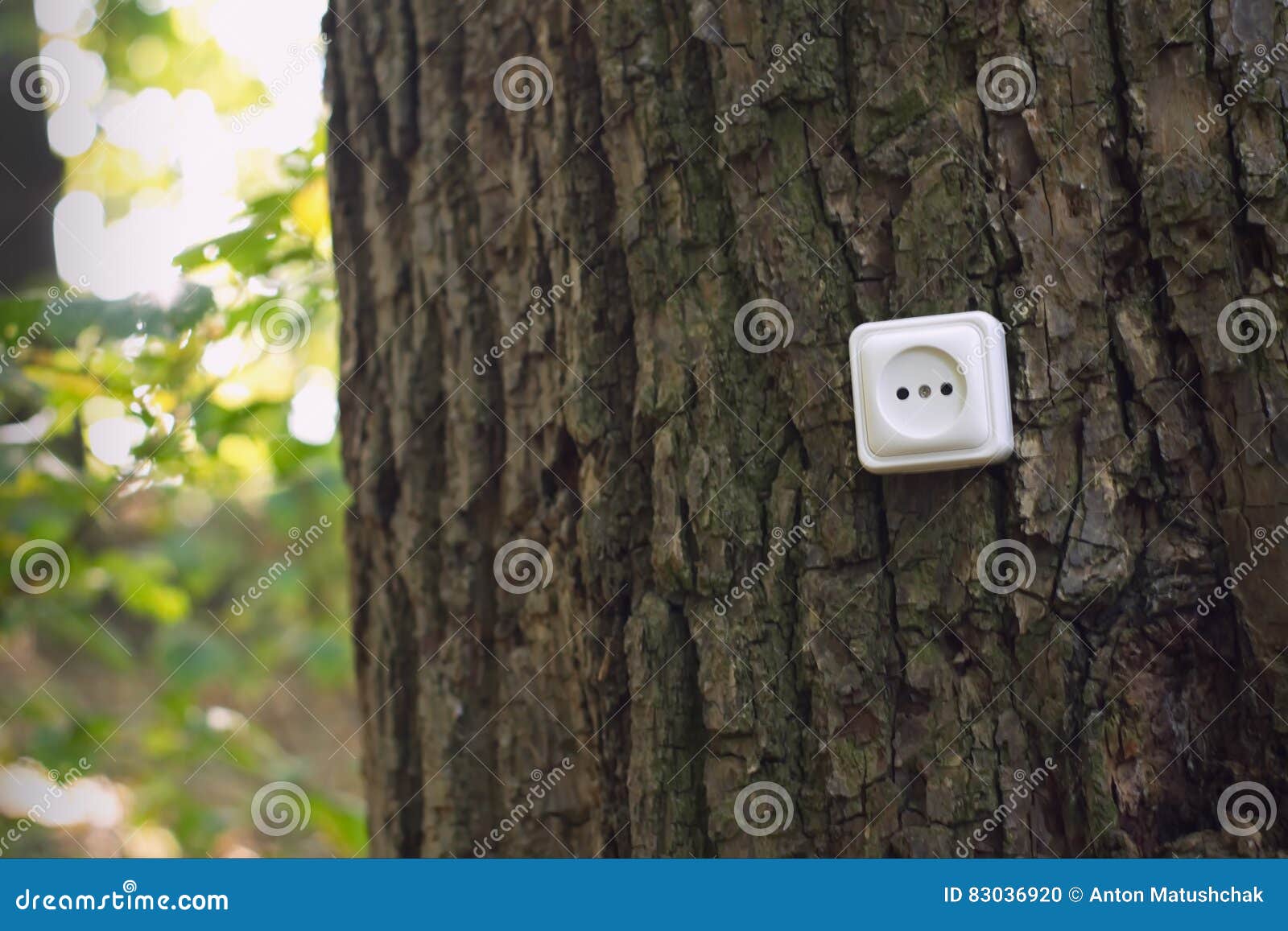 Electric Socket on Trees in Forest. Green Energy Concept Stock Photo ...