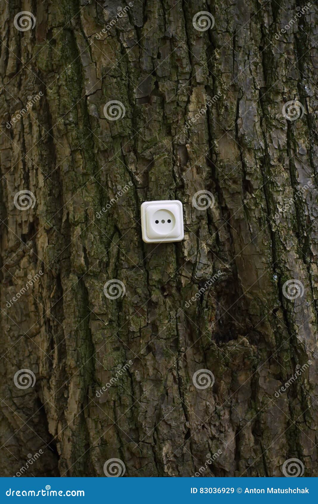 Electric Socket on Trees in Forest. Green Energy Concept Stock Image ...