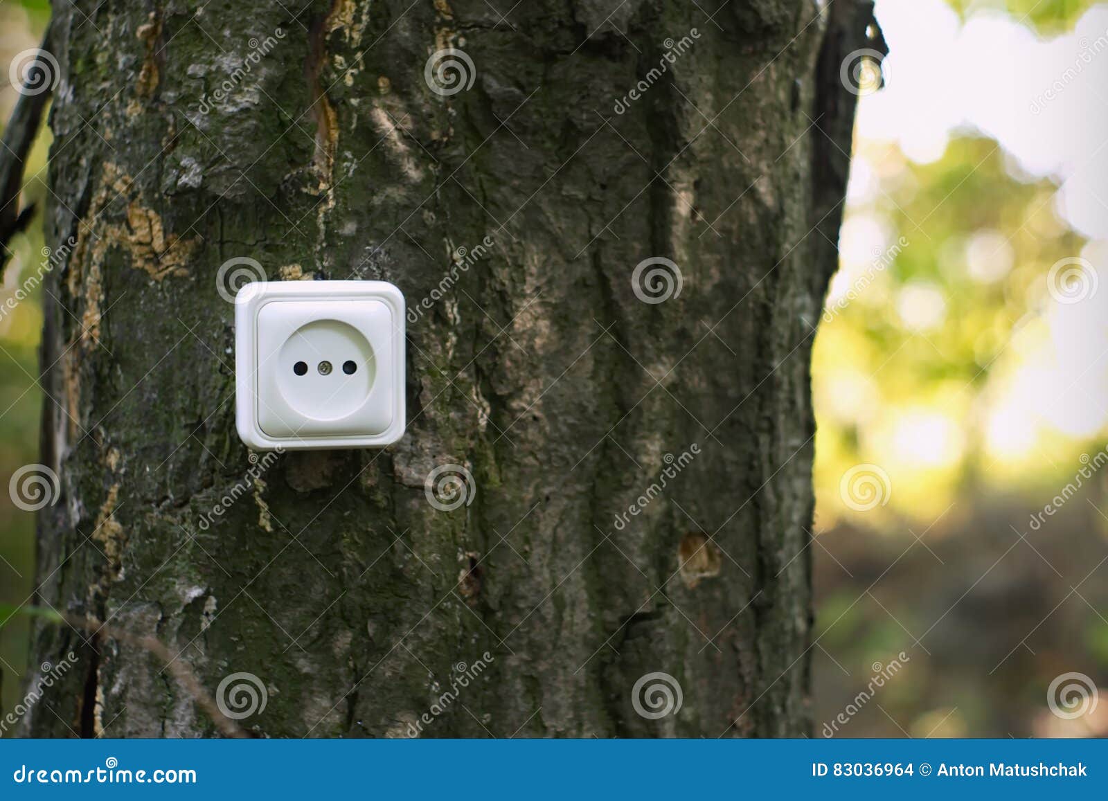 Electric Socket on Trees in Forest. Green Energy Concept Stock Photo ...