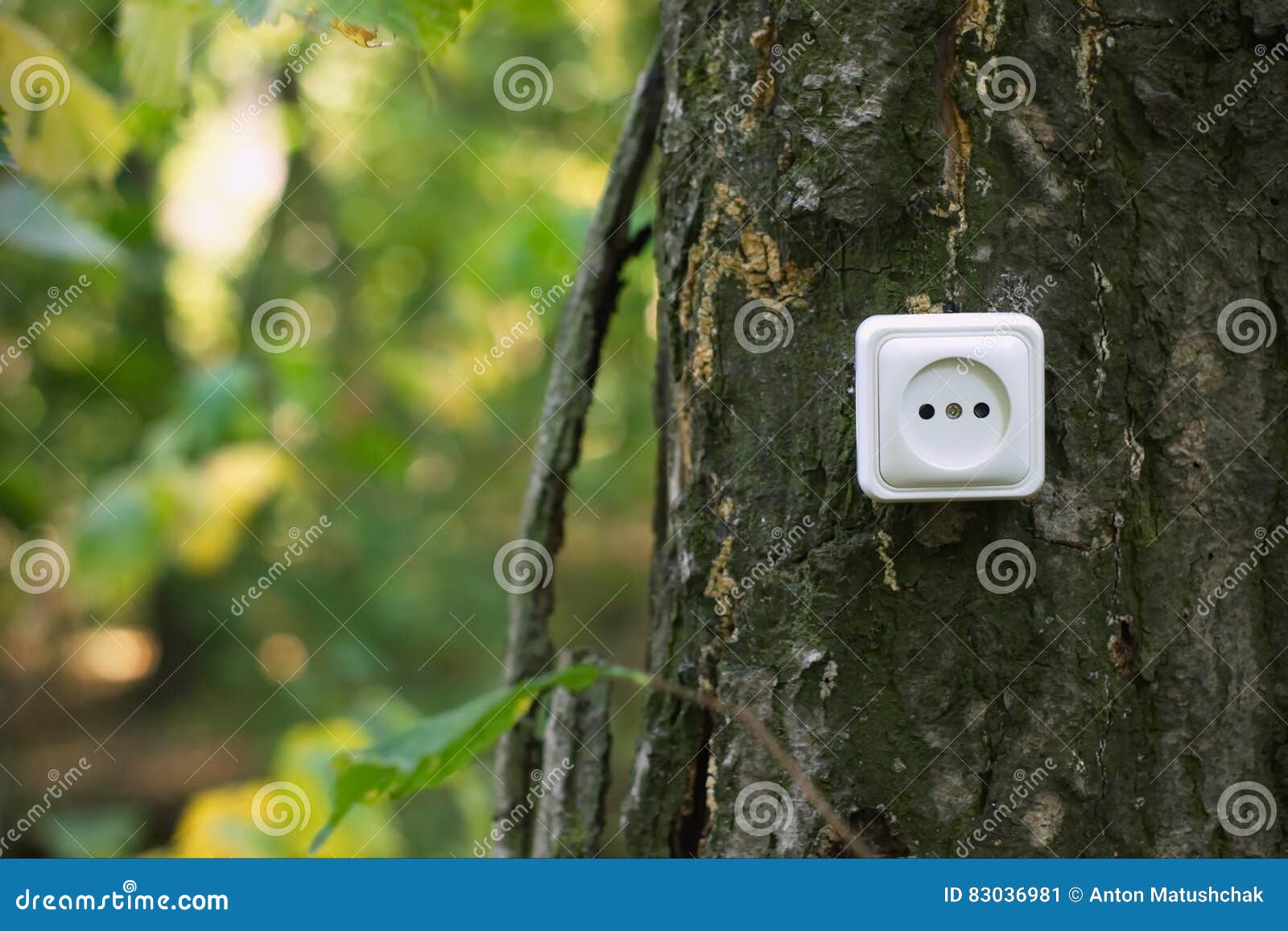 Electric Socket on Trees in Forest. Green Energy Concept Stock Image ...
