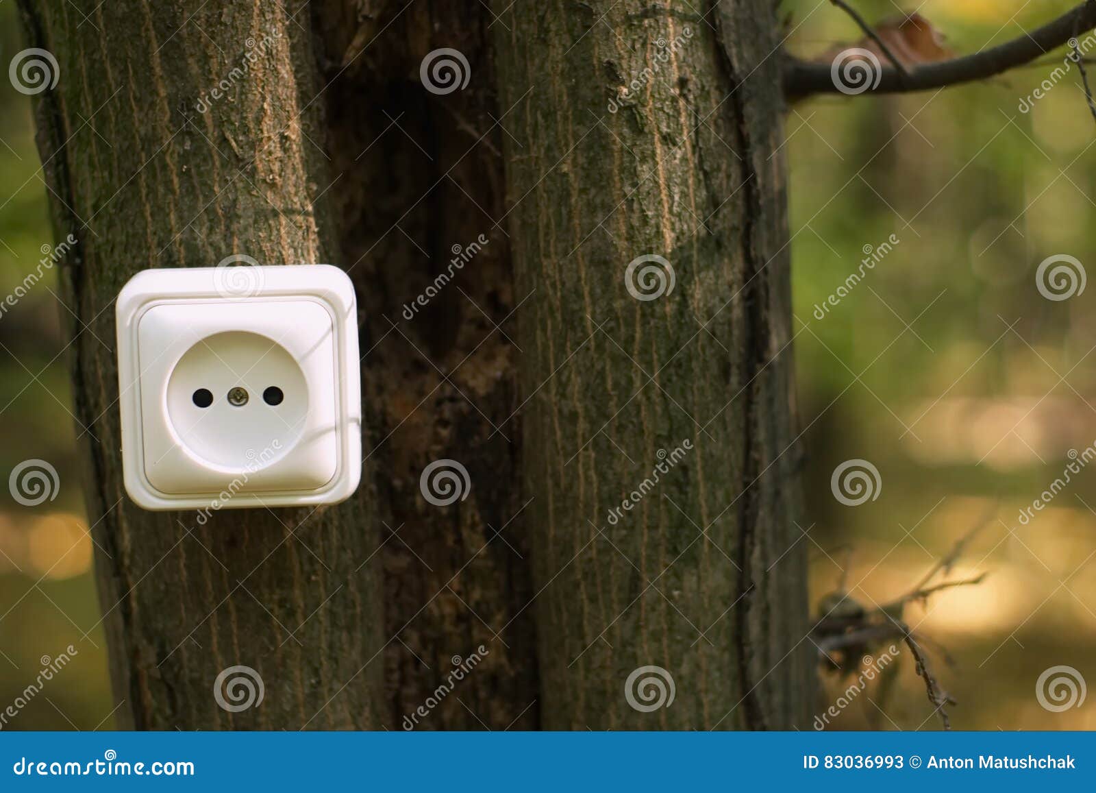 Electric Socket on Trees in Forest. Green Energy Concept Stock Image ...